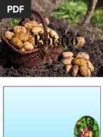 Asexual Reproduction | PDF | Potato | Organisms
