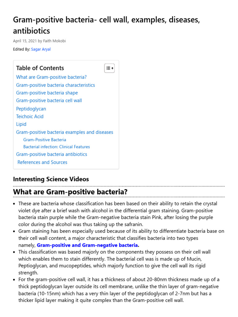 Gram-Positive Bacteria - Cell Wall, Examples, Diseases, Antibiotics | PDF
