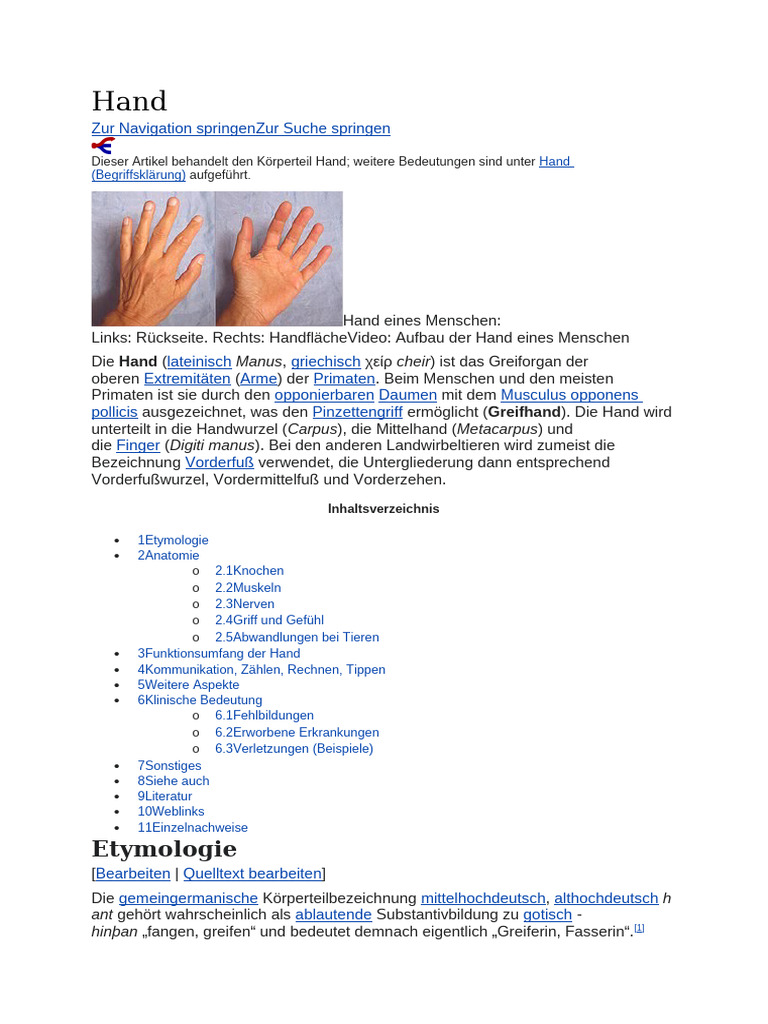 Hand | PDF