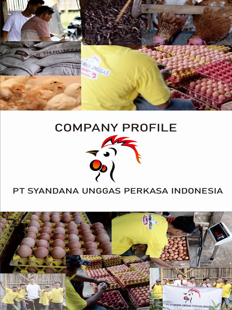 Company Profile PT Syandana Unggas Perkasa Indonesia | PDF