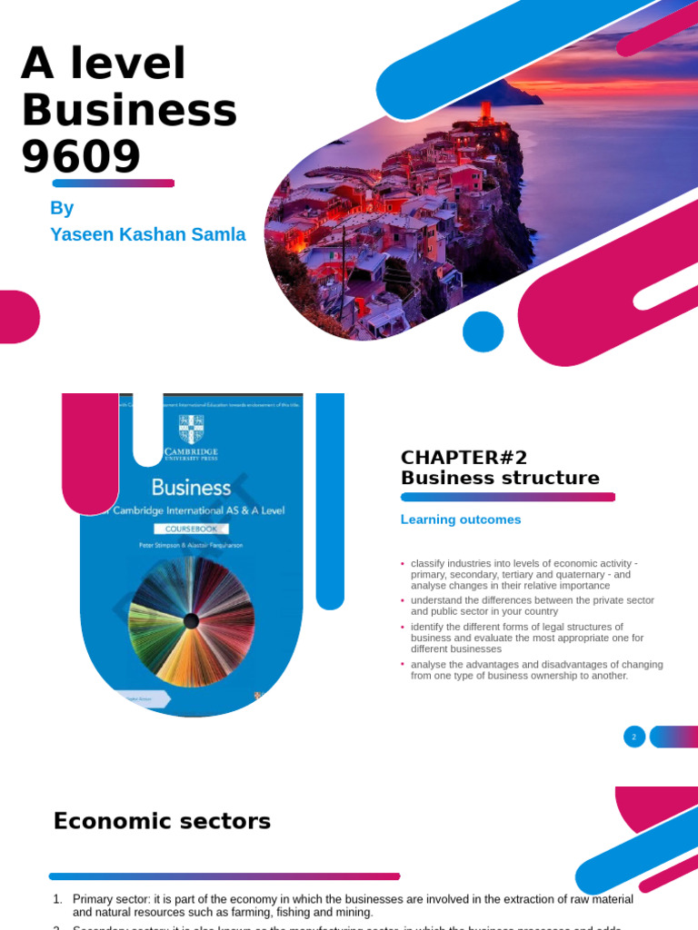 A level Business 9609 (as chapter 2) | PDF