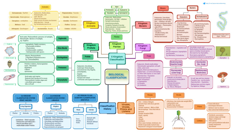 BIOLOGICAL CLASSIFICATION CONCEPT MAP | PDF