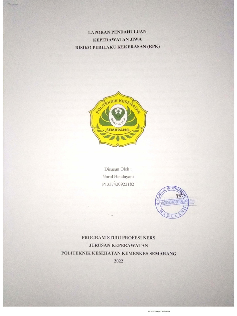 182 - Nurul Handayani - Profesi Ners - LP RPK | PDF