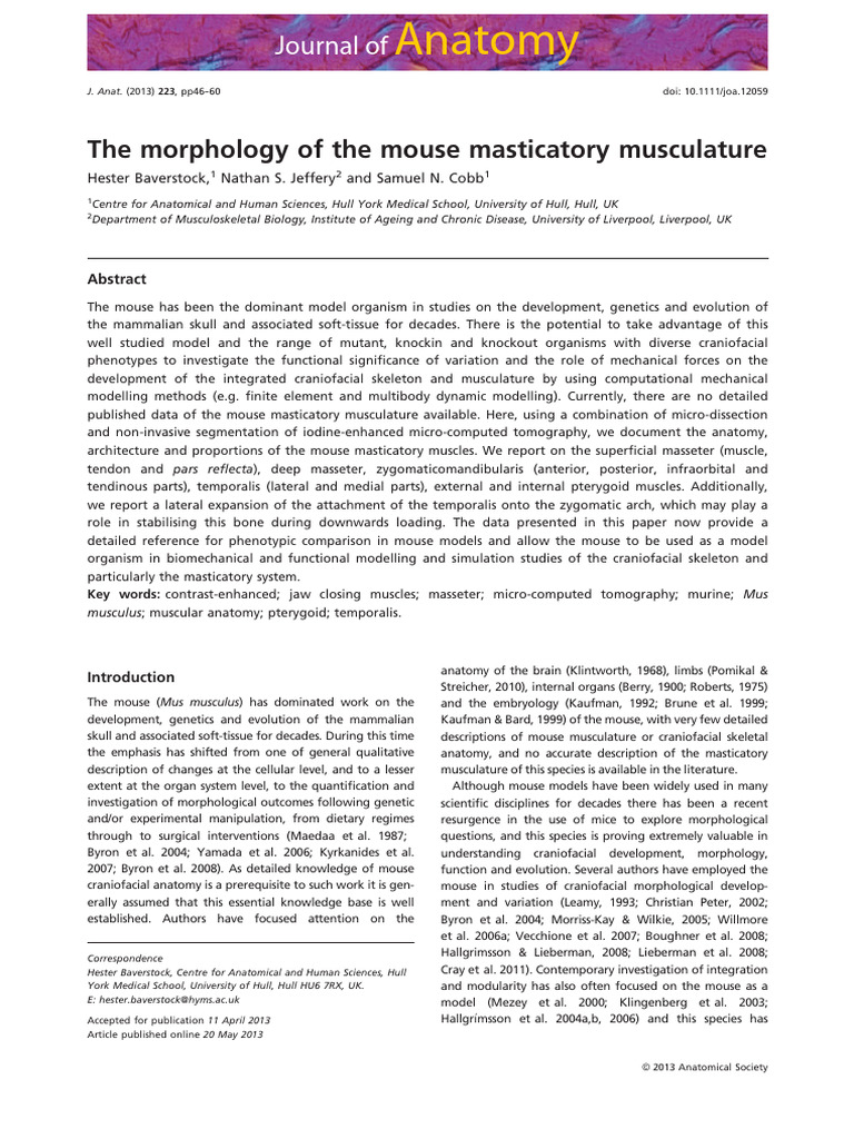 Baverstock Et Al. 2013 - The Morphology of The Mouse Masticatory ...