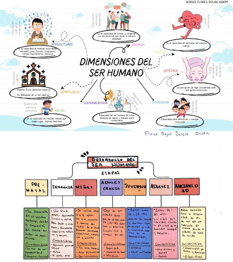 Dimensiones Del Ser Humano | PDF