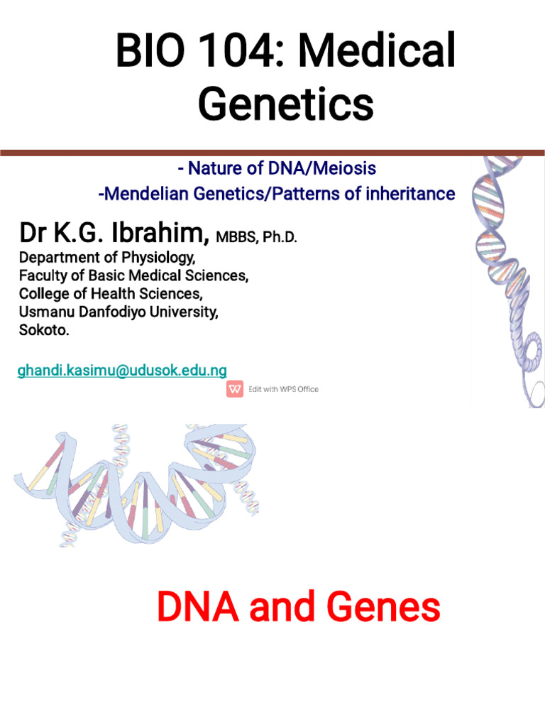 Bio 104 Medical Genetics ? | PDF