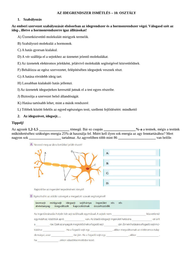 Idegrendszer Ismétlés Tanulói | PDF