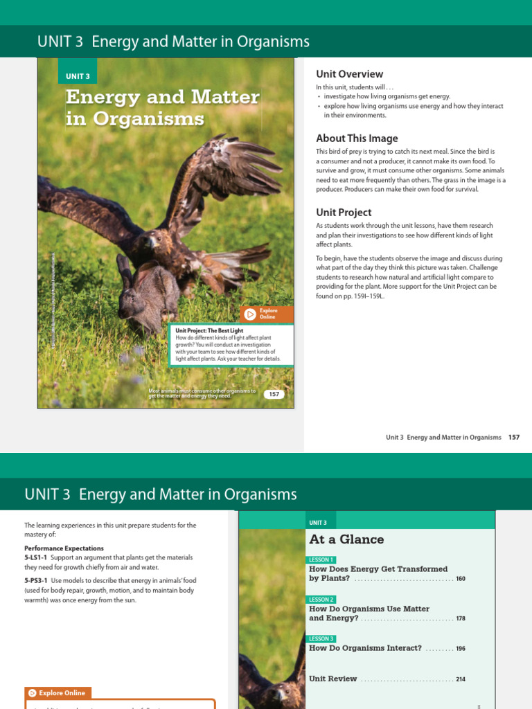 UNIT 3 Energy and Matter in Organisms | PDF