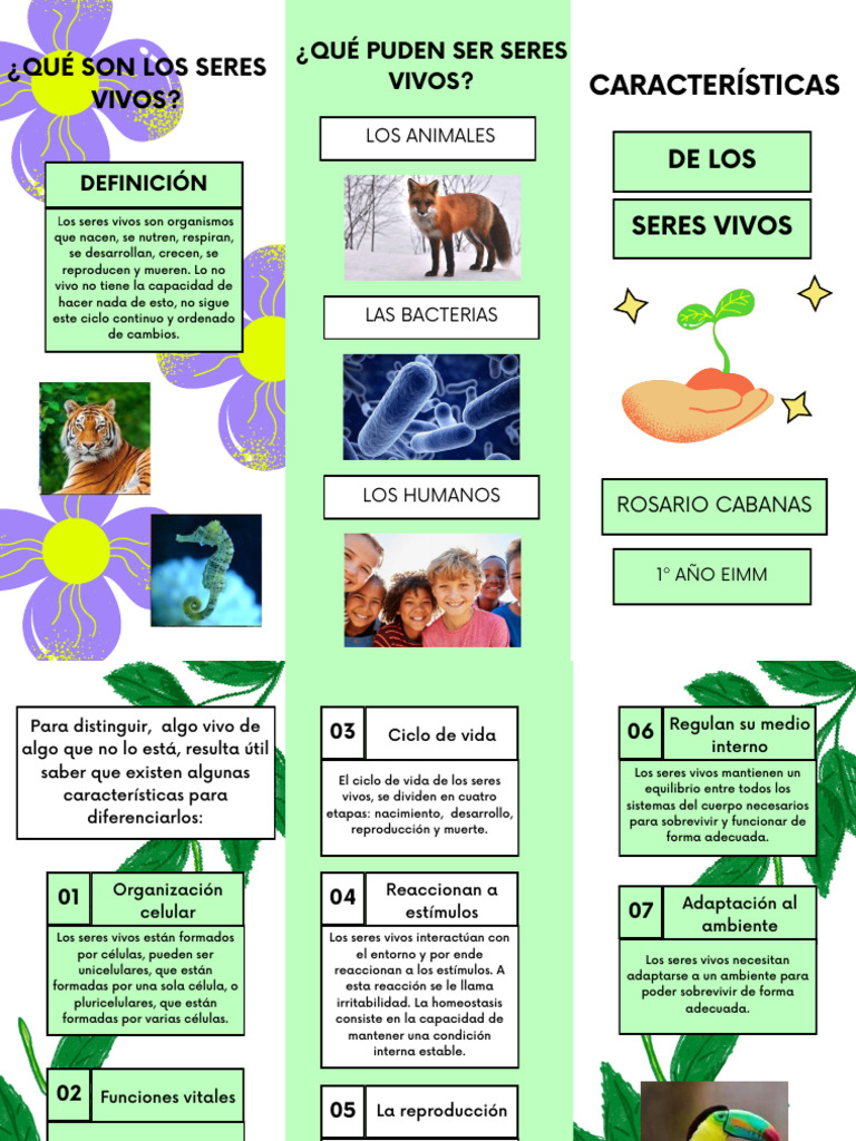 Características de Los Seres Vivos | PDF | Organismos | Vida