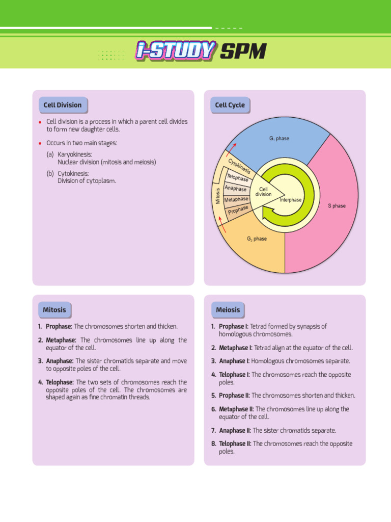 I StudySPMF4Chapter6 | PDF