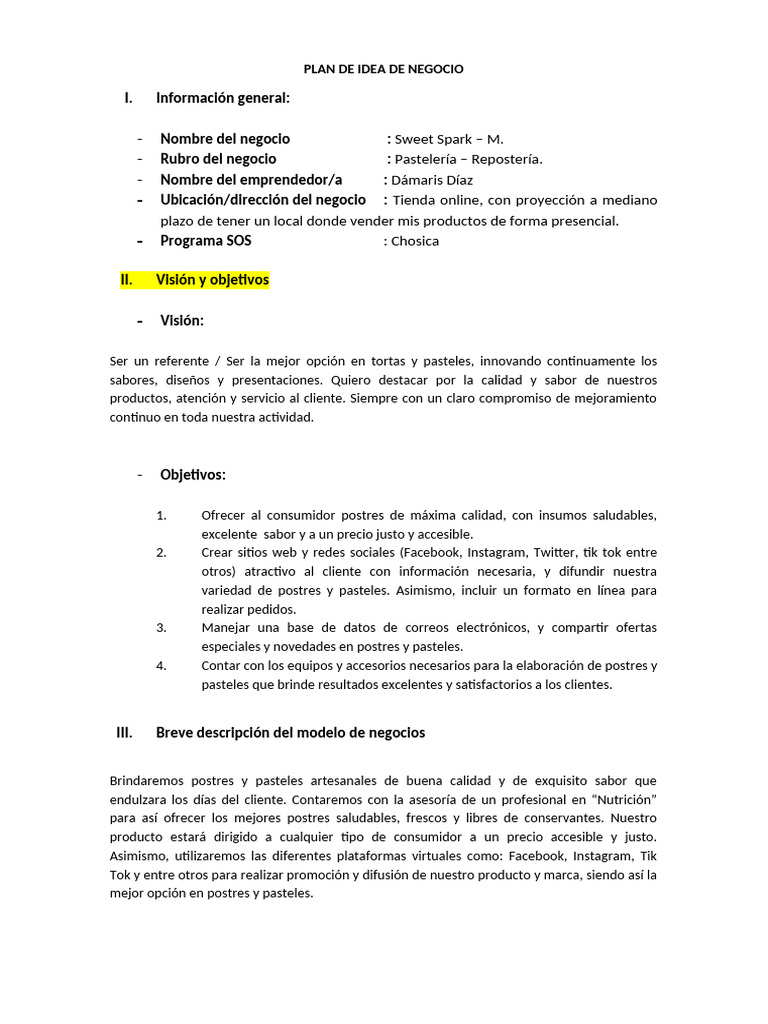 Plan De Idea De Negocio Ejemplo Pdf 2819