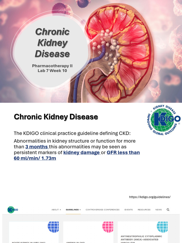 Chronic Kidney Disease: Pharmacotherapy II Lab 7 Week 10 | PDF