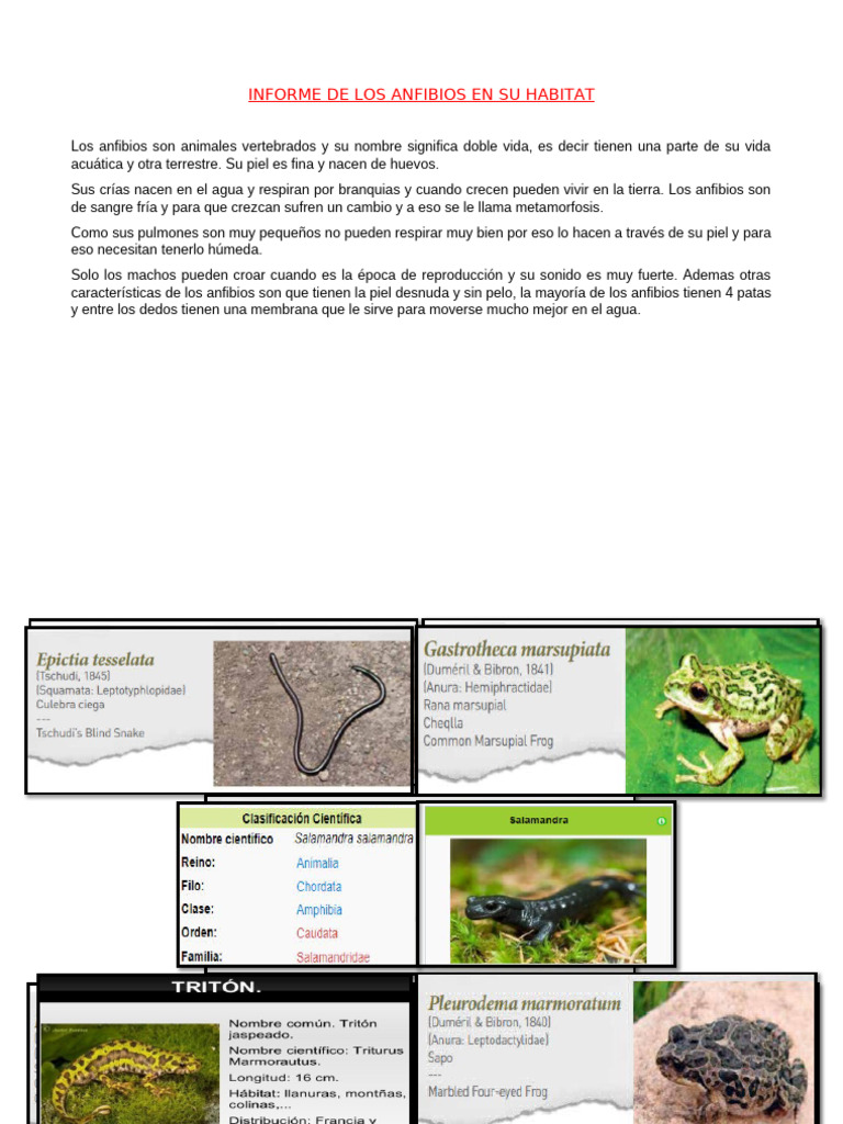 Especialidas Anfibios | PDF