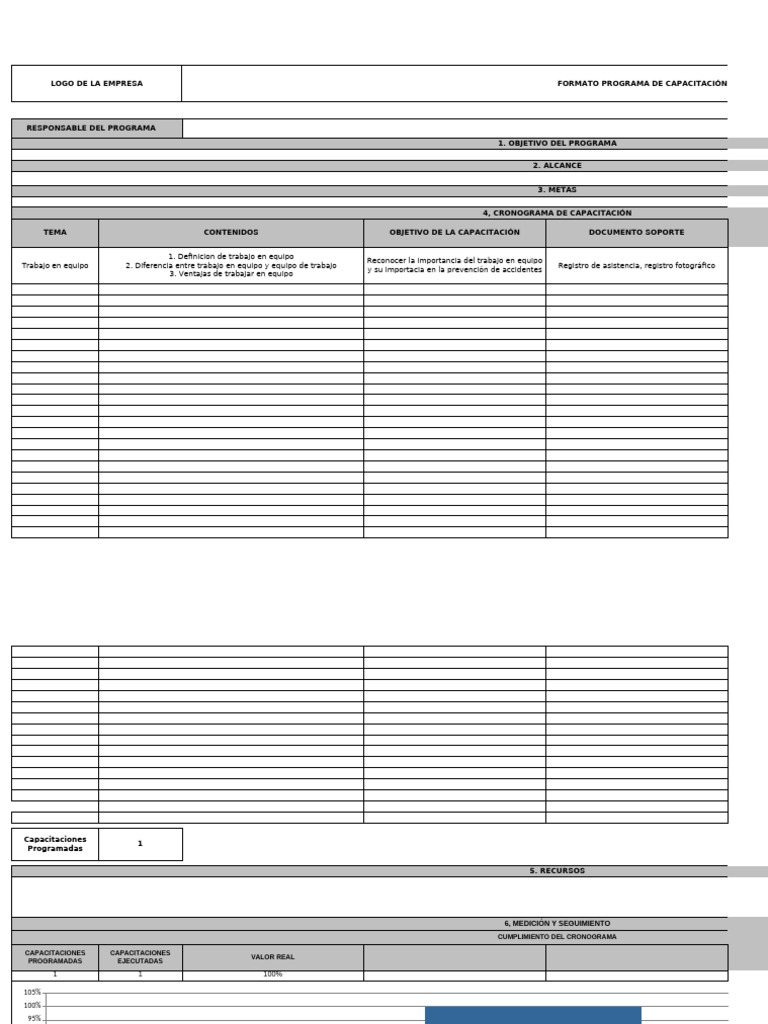 Formato Programa de Capacitación 1 | PDF