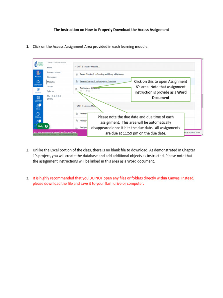 Access Assignment Information | PDF | Computer File | Computers