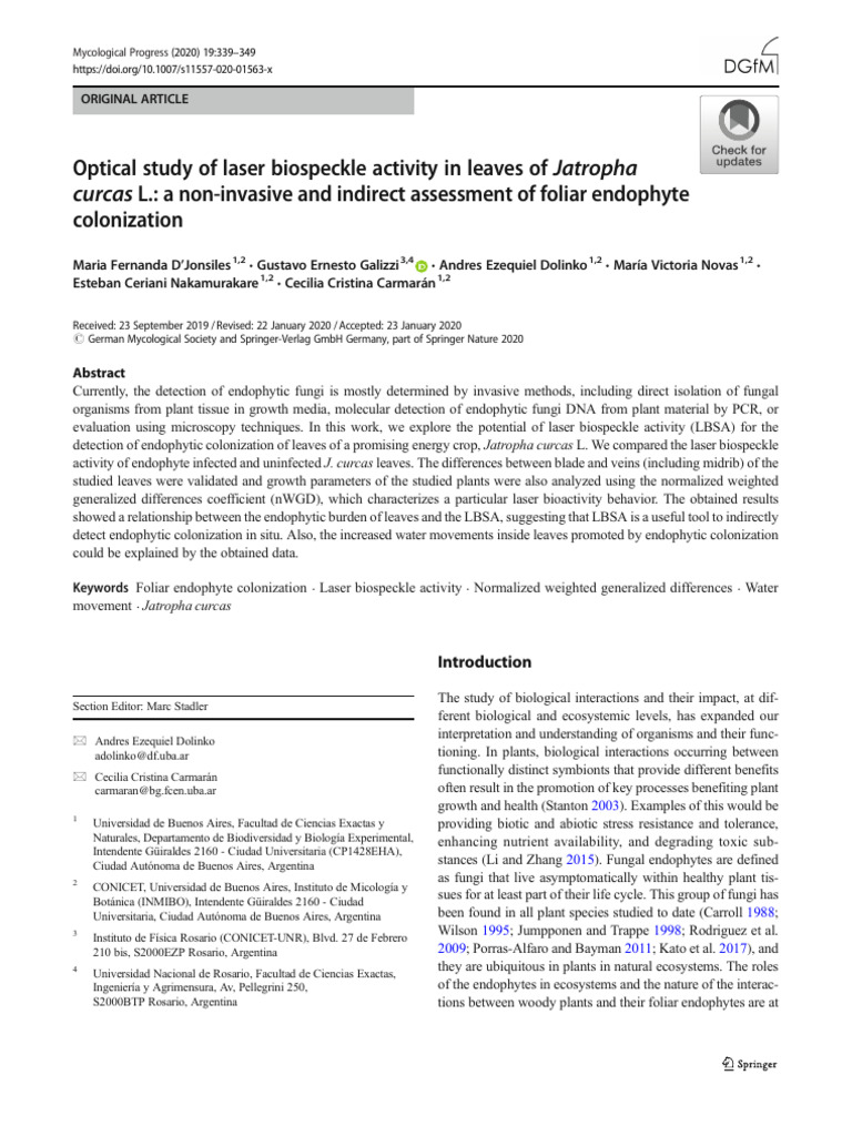 Optical Study of Laser Biospeckle Activity in Leaves of Jatropha Curcas L.: A Non-Invasive and ...