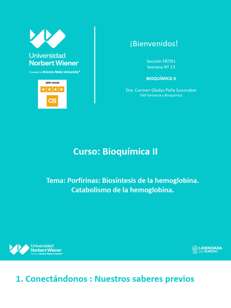 Clase 13 - Bii - 2024 | PDF