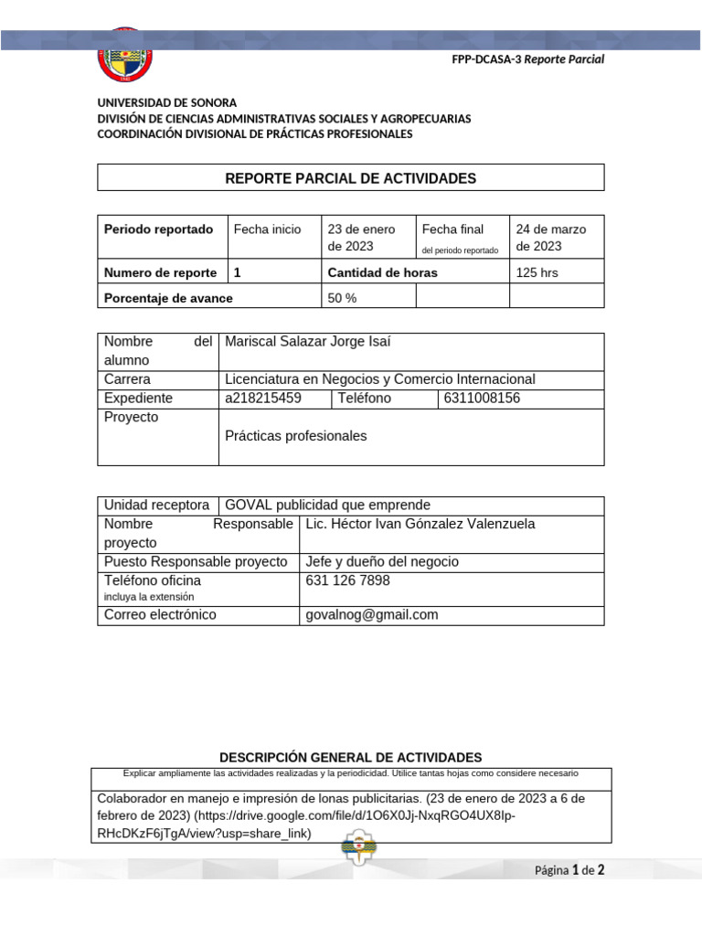 FPP-3 Informe Parcial Dcasa | PDF