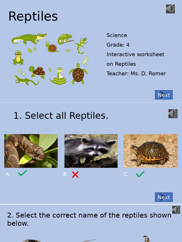 Reptiles Interactive Worksheet | PDF