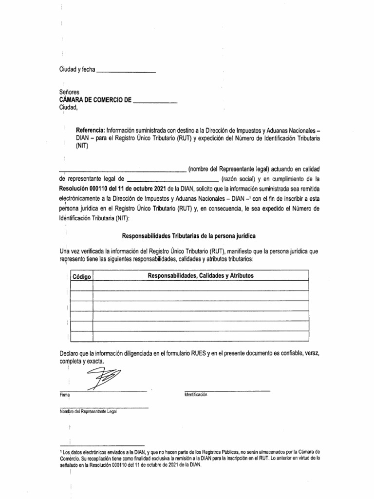 Formato Pre Rut - Persona Juridica. | PDF