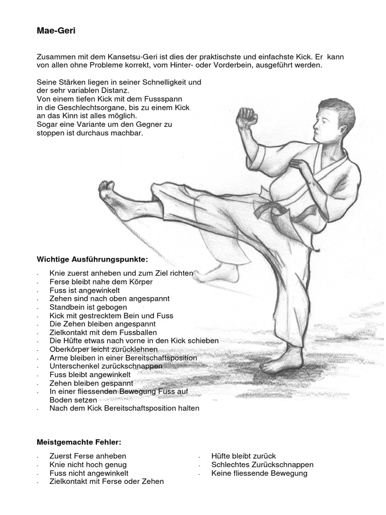 Beintechniken Mae Geri | PDF