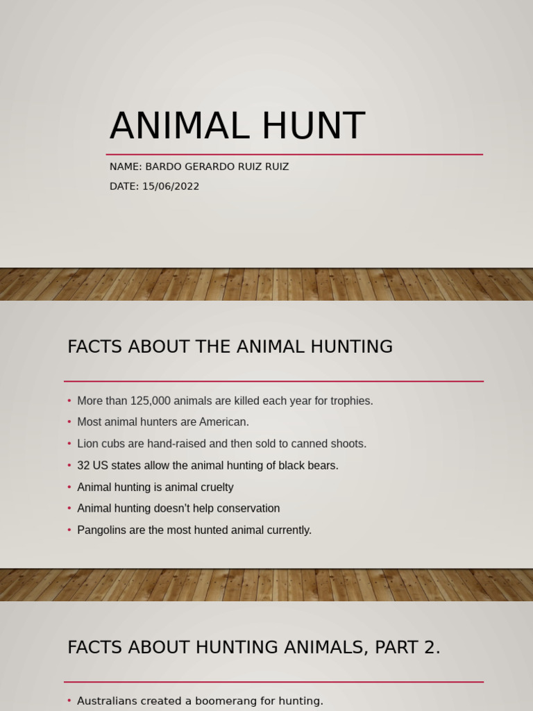 Animal Hunt | PDF