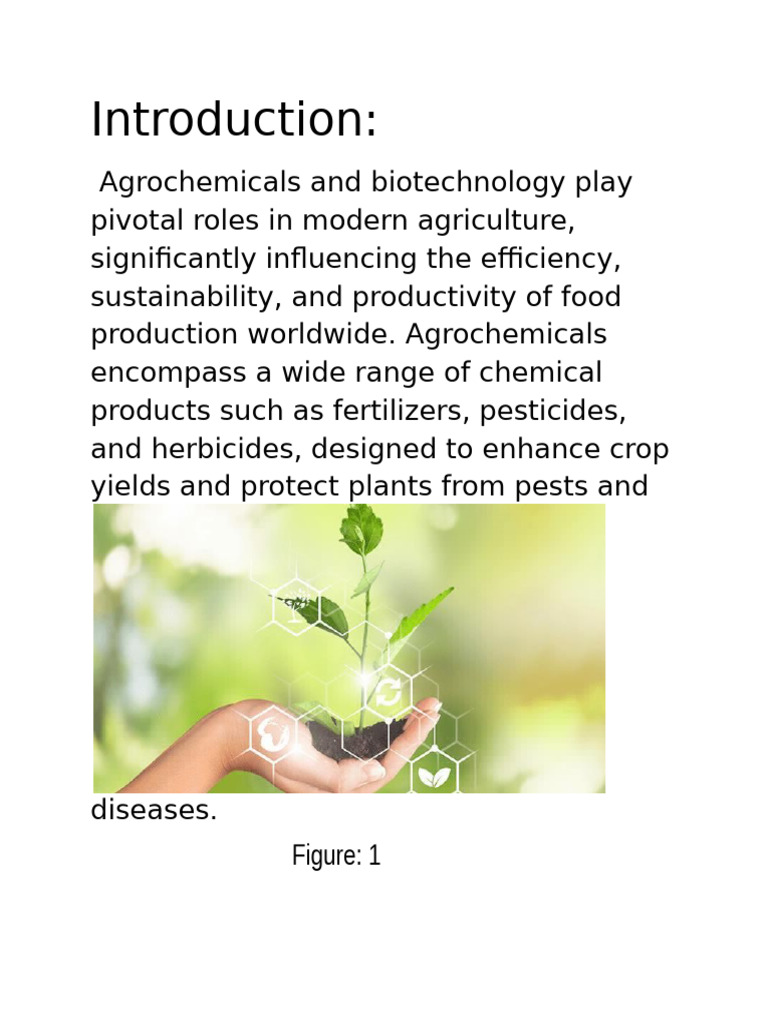 Class 12 Biology Agrochemical | PDF | Biotechnology | Agriculture