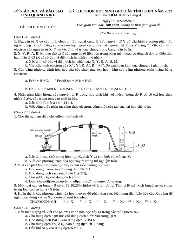 Hsg 12 Quảng Ninh Bảng a 2022-2023 | PDF