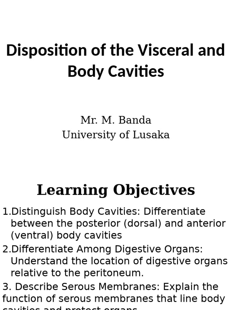 1B. Disposition of The Visceral and Body Cavities | PDF