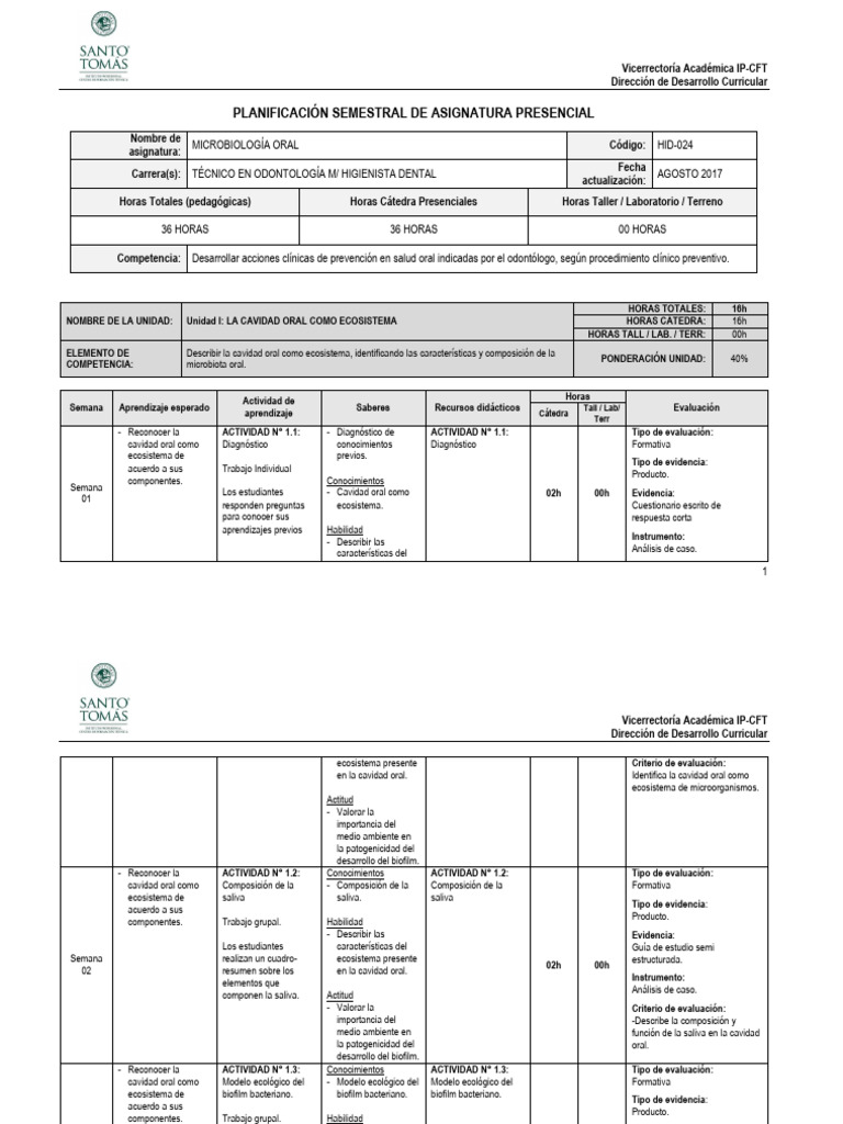 HID-024 Micro Planificacion | PDF