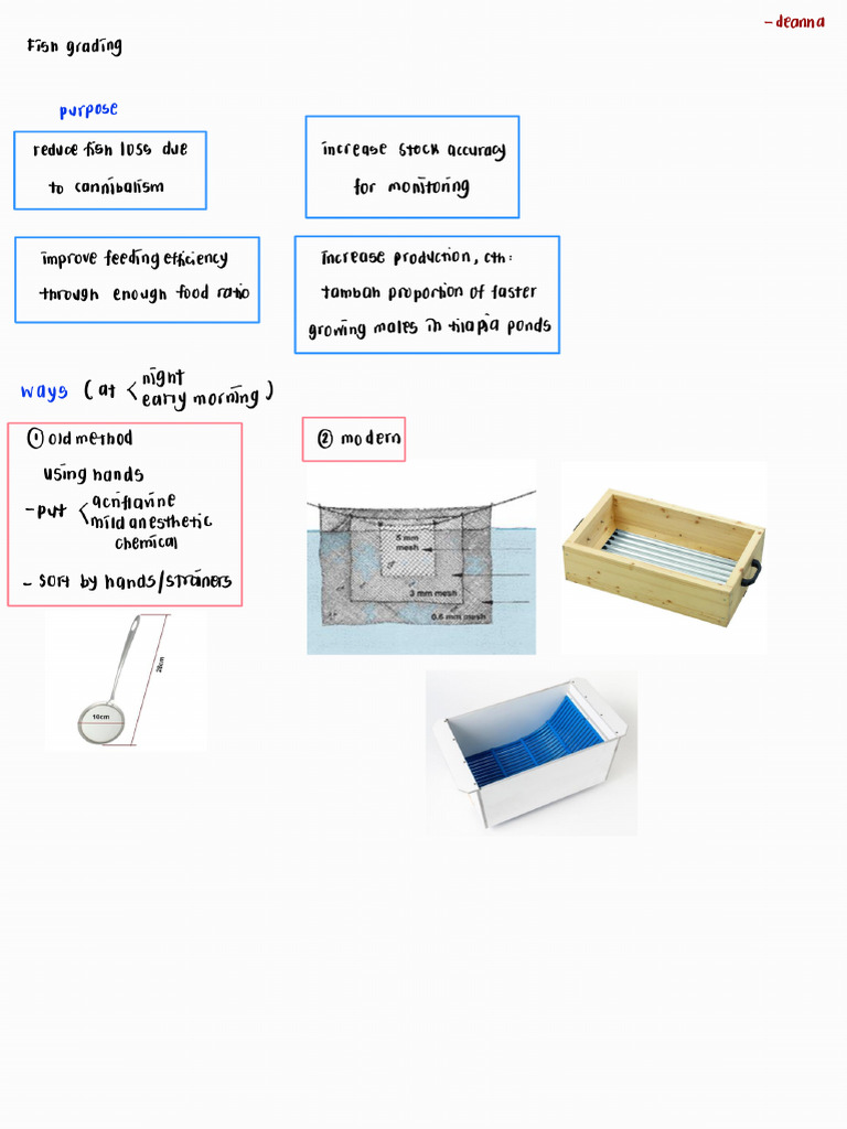 FISH GRADING - D | PDF