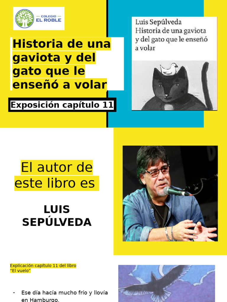 Historia de Una Gaviota y Del Gato Que Le Enseñó A Volar | PDF
