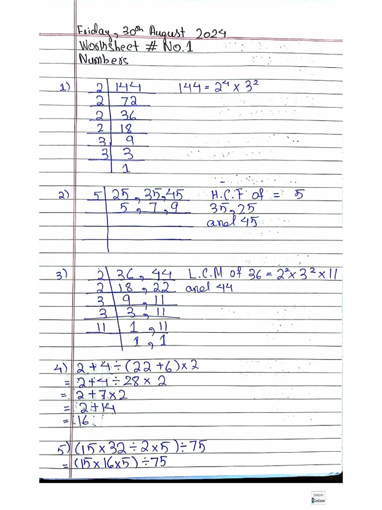 Maths Asignment Numbers | PDF