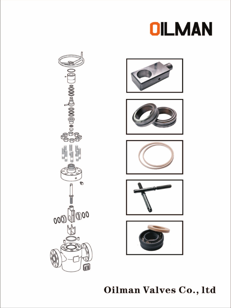 Oilman Valves Brochure | PDF