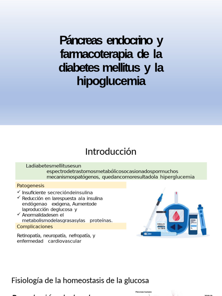 Pancreas | PDF