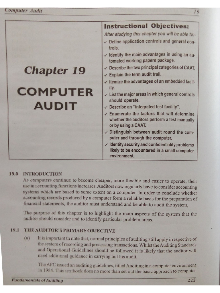 Computer Audit | PDF