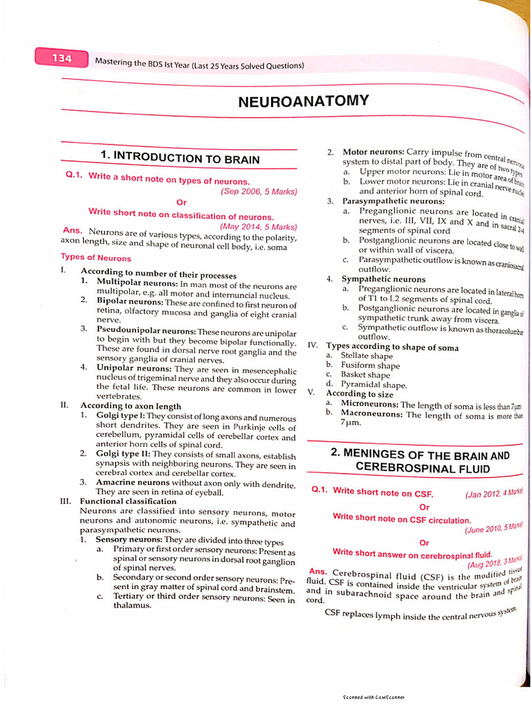 Mastering BDS Neuroanatomy | PDF