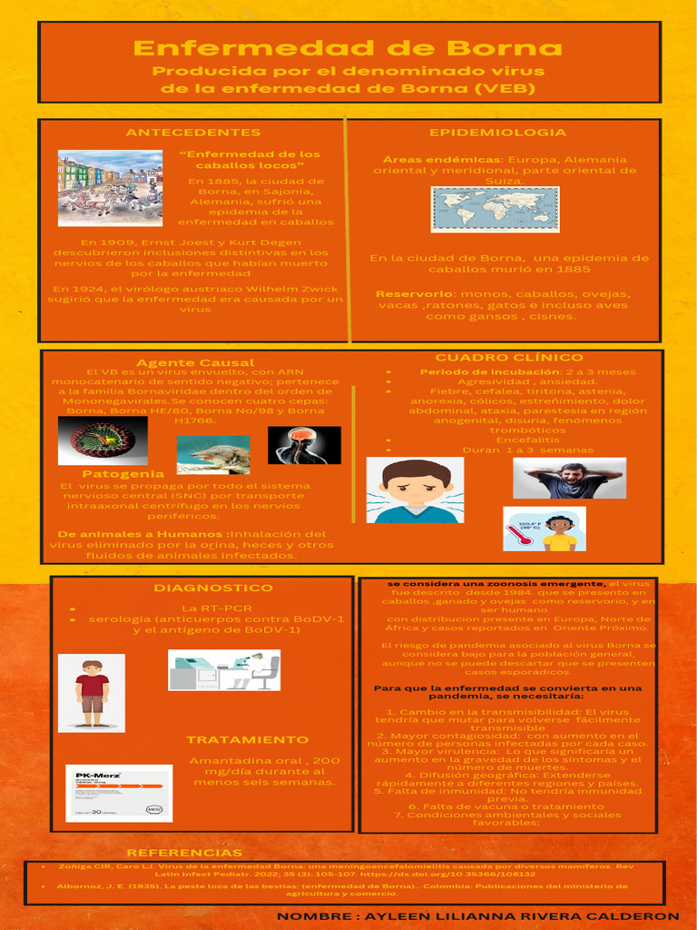 Enfermedad de Borna Infografiaa | PDF | Virus | Pandemia