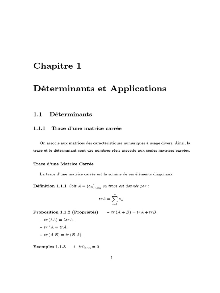 Chapitre 1 Déterminants | PDF