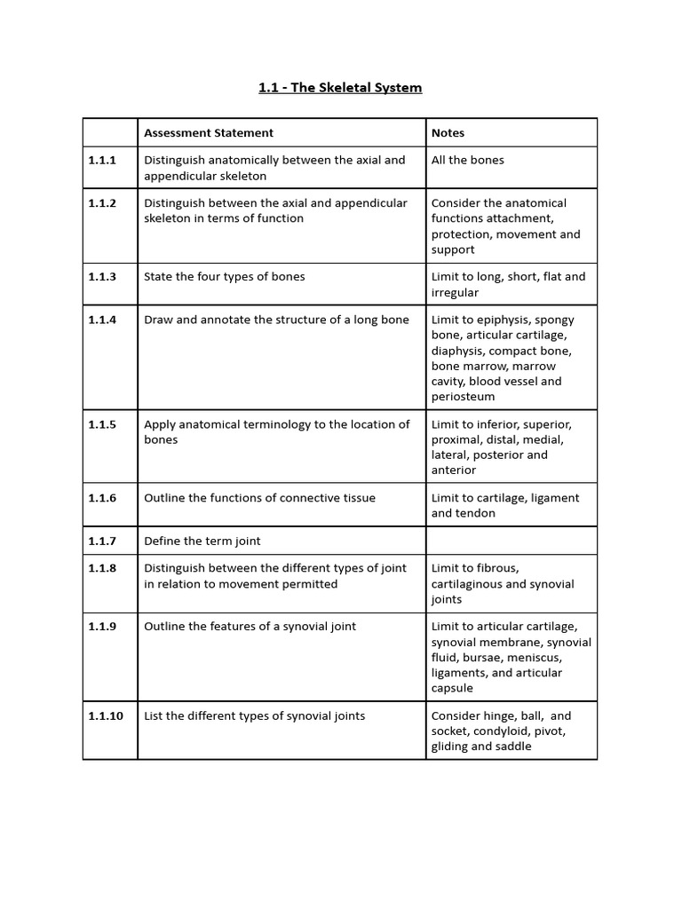 1.1 - The Skeletal System: Assessment Statement Notes 1.1.1 | PDF