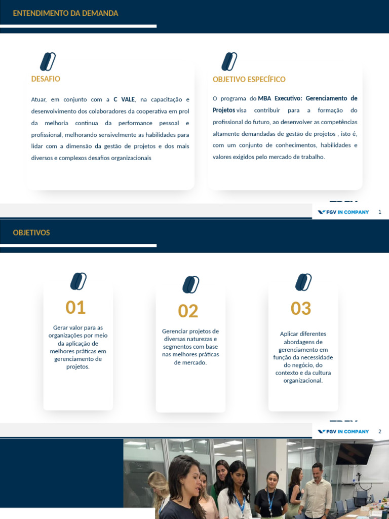 Gestão De Projetos Pdf