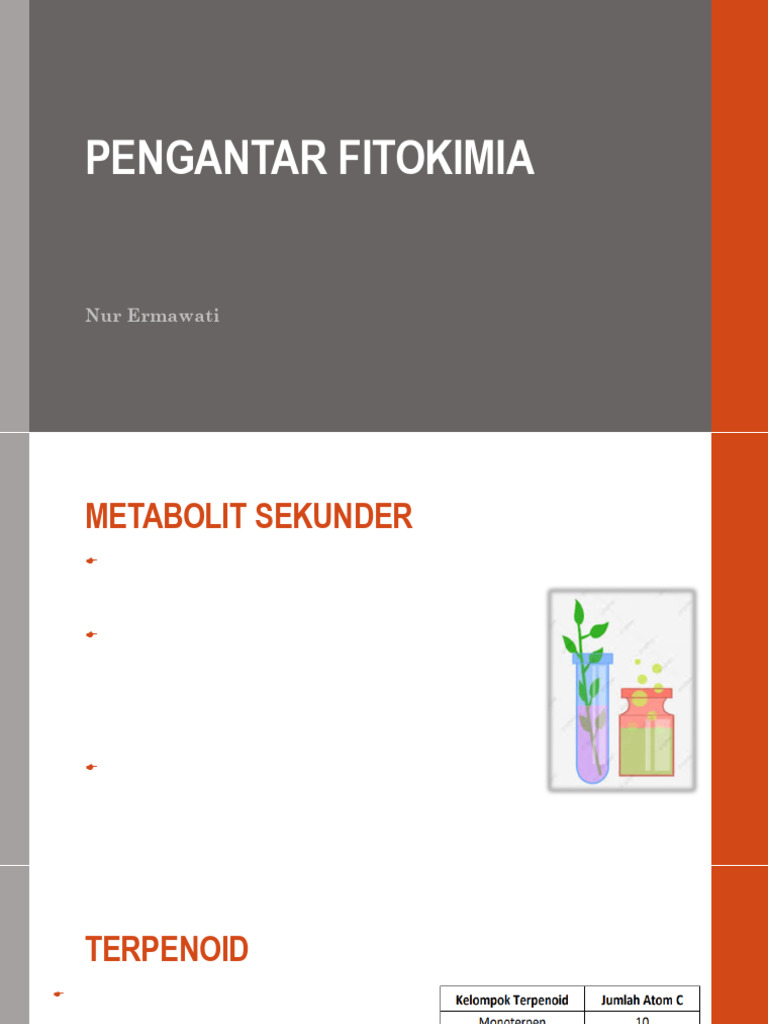 Pengantar Fitokimia | PDF | Kesehatan Holistik