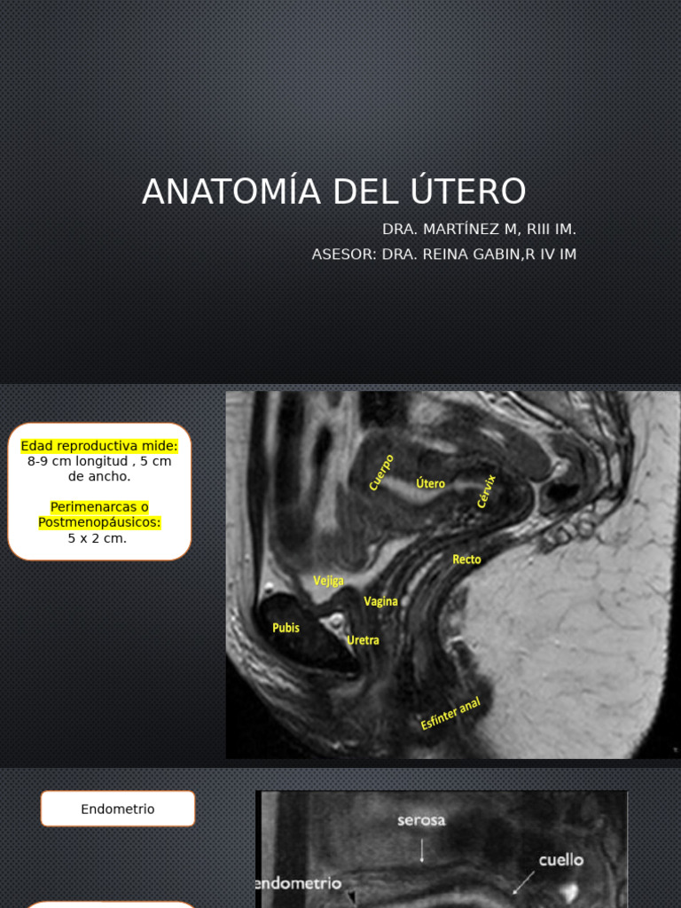 Utero | PDF