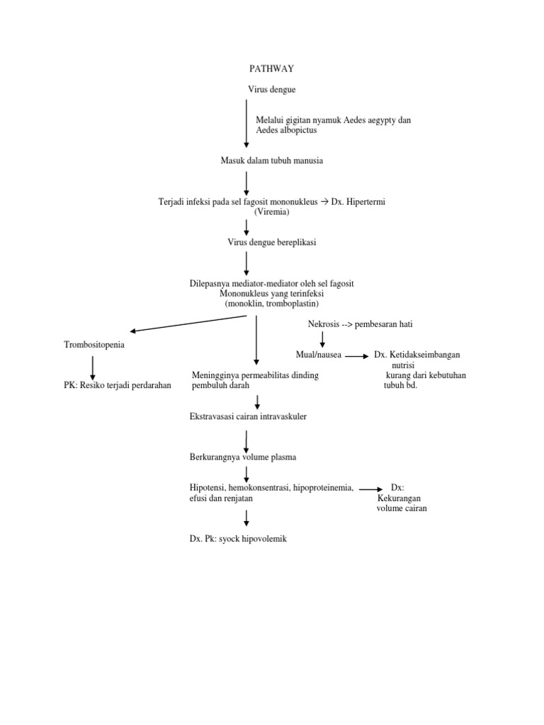 Pathways LP GEA | PDF | Ilmu Sosial | Sains & Matematika