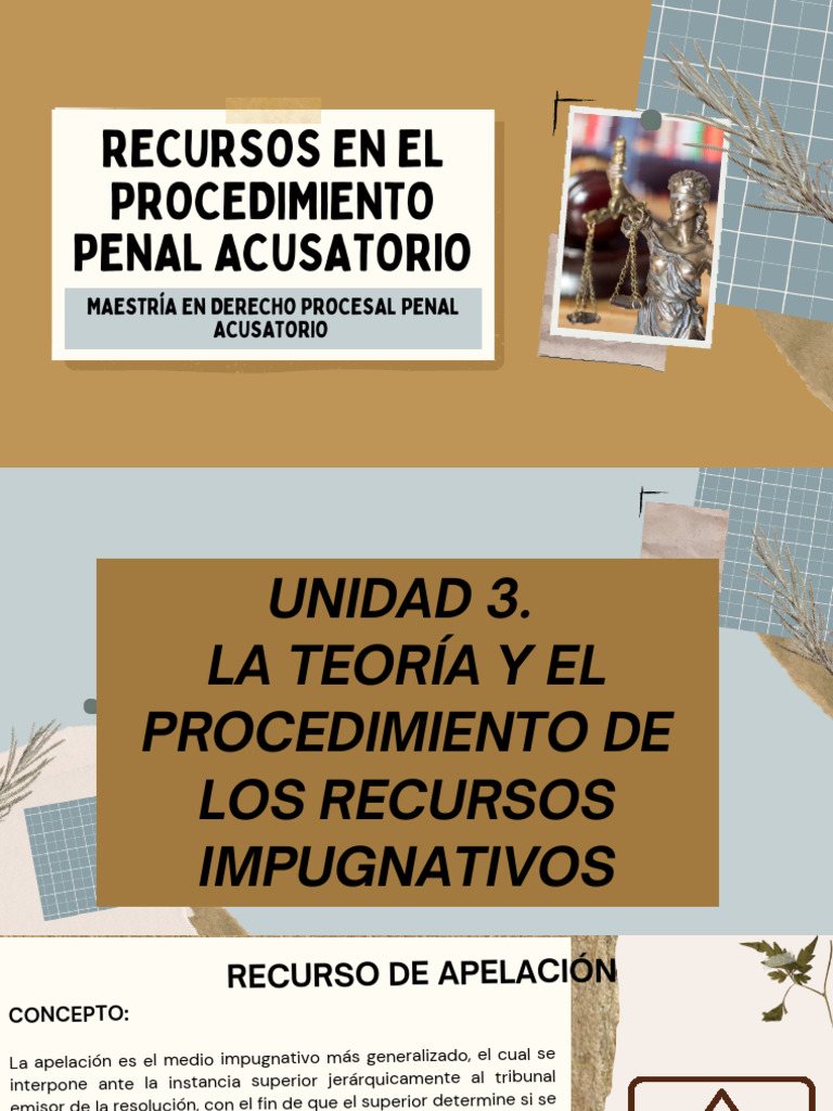 RECURSOS DE APELACI-N Y RECONOCIMIENTO DE INOCENCIA 4ta - Sesi-N | PDF