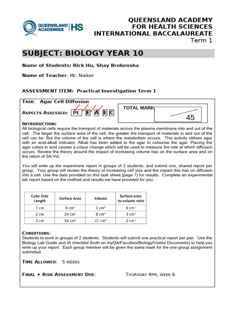 Bio IA Term 1 Rate of Diffusion | PDF