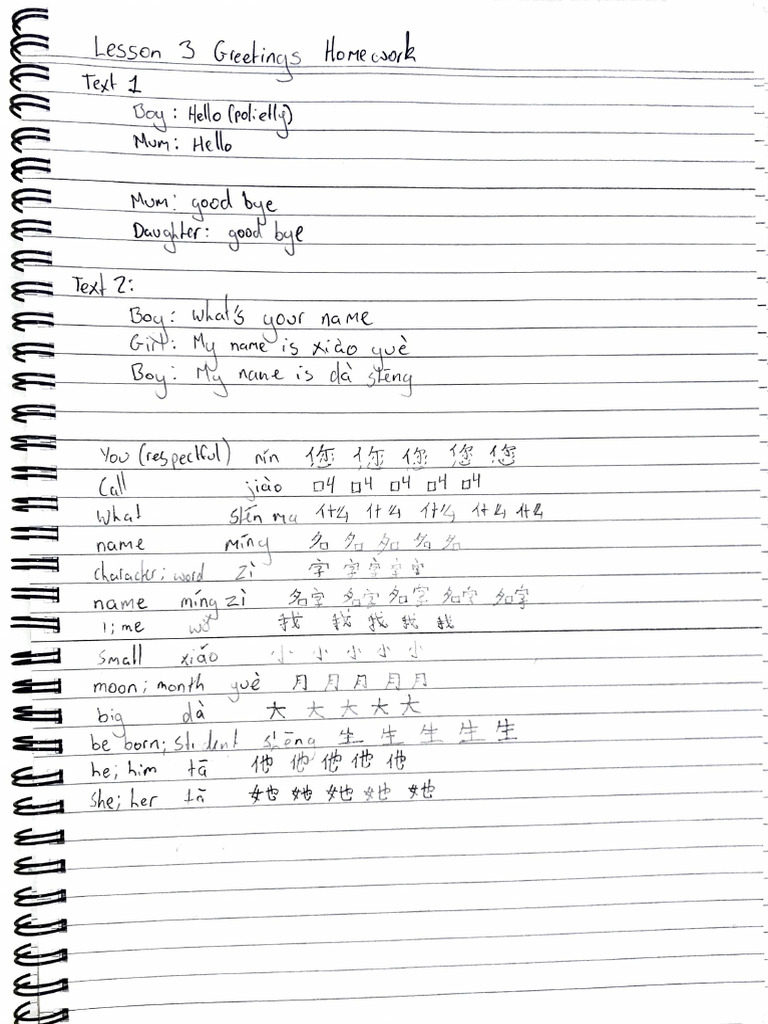 Chinese Homework 3 | PDF