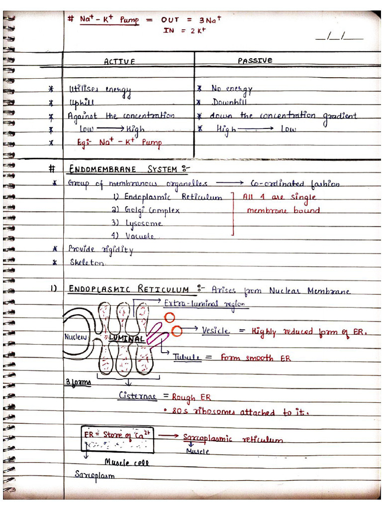 CELL Notes | PDF