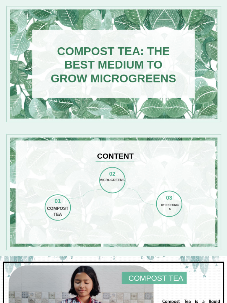 Actual PPT Presentation For NCSC | PDF | Tecnología