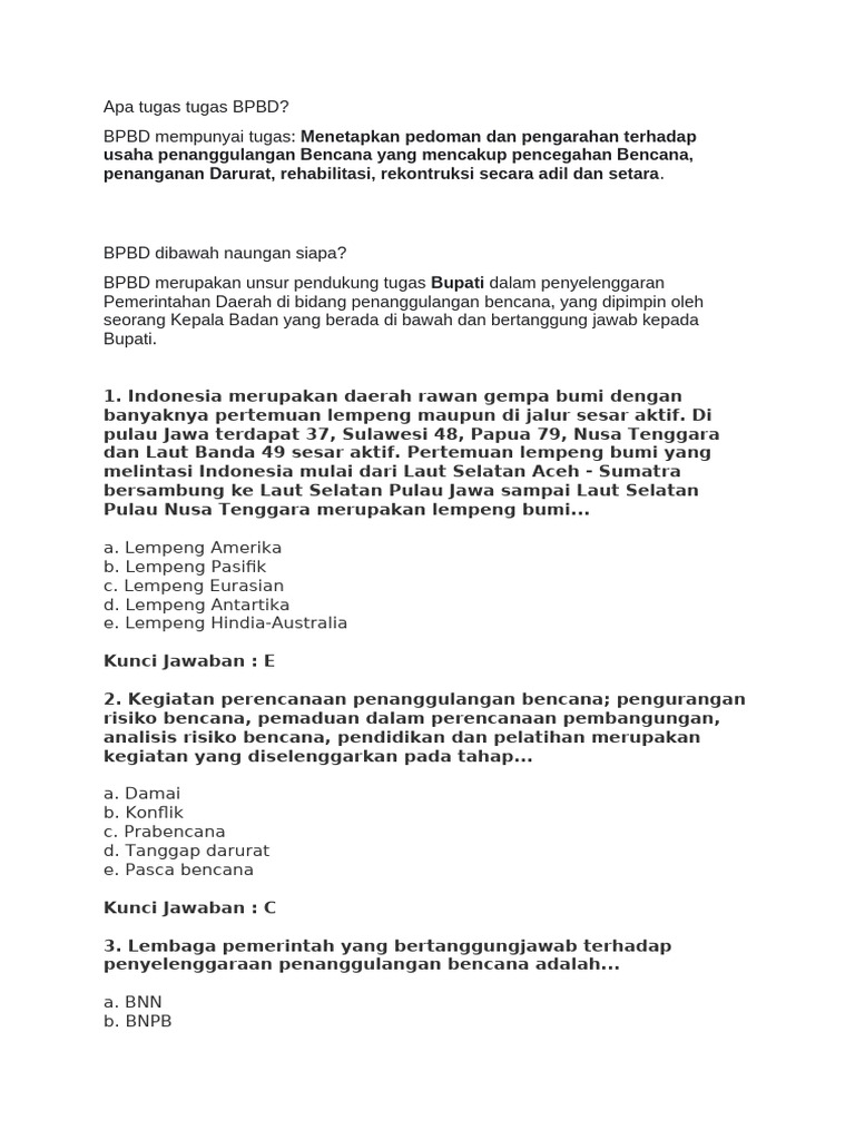 Apa Tugas Tugas BPBD | PDF